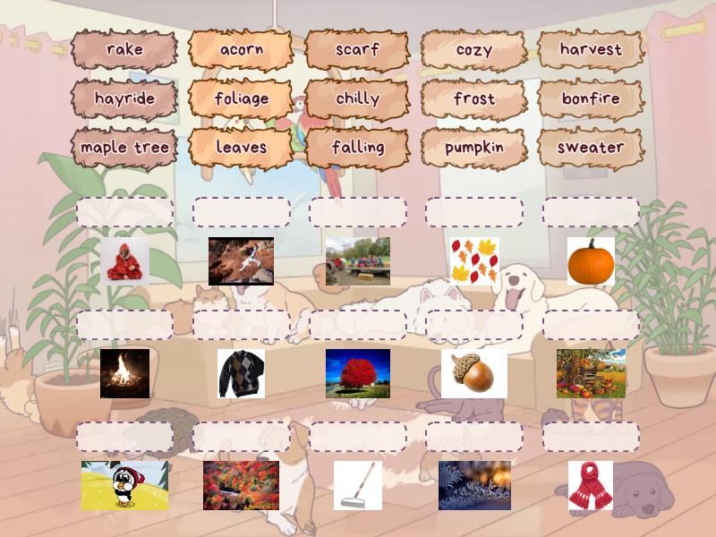 Fall Vocabulary - Match up