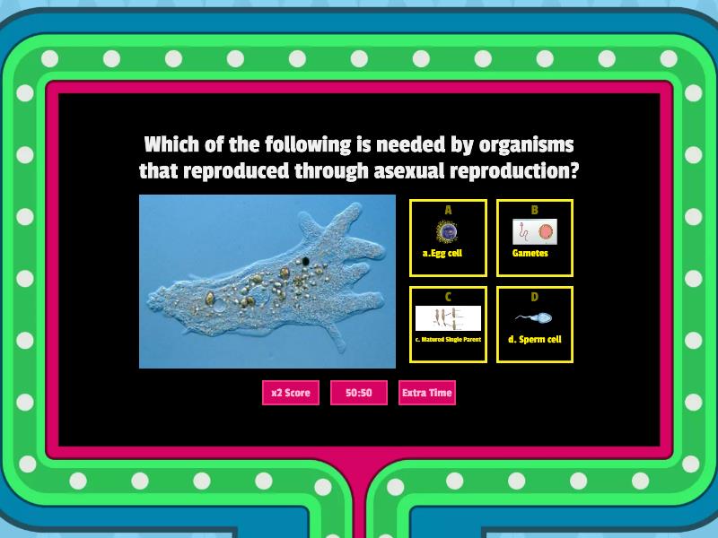 Asexual vs Sexual Reproduction - Gameshow quiz