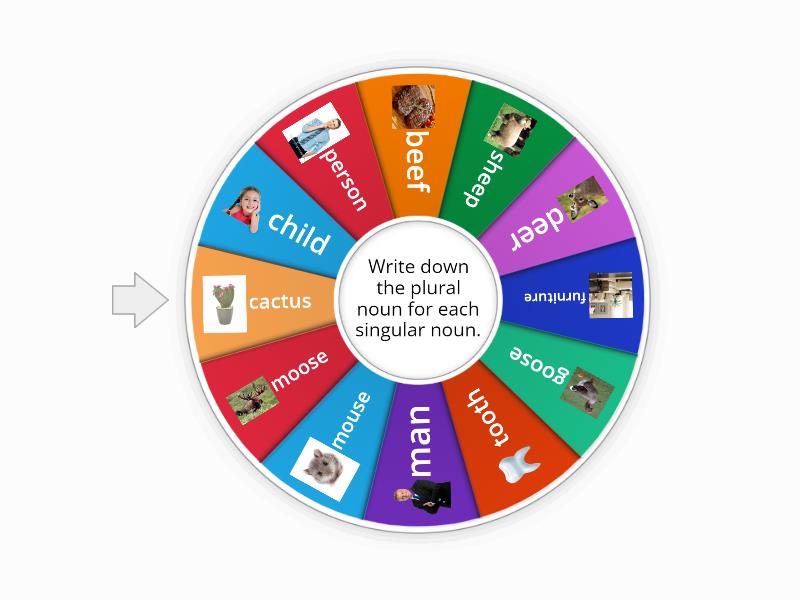 Irregular Plural Nouns - Random wheel