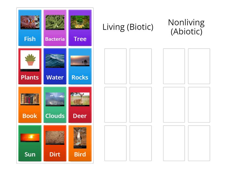 Biotic vs. Abiotic Factors - Group sort