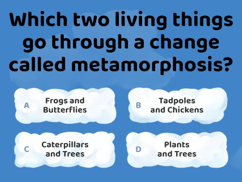CKLA Unit 6 Review - Quiz