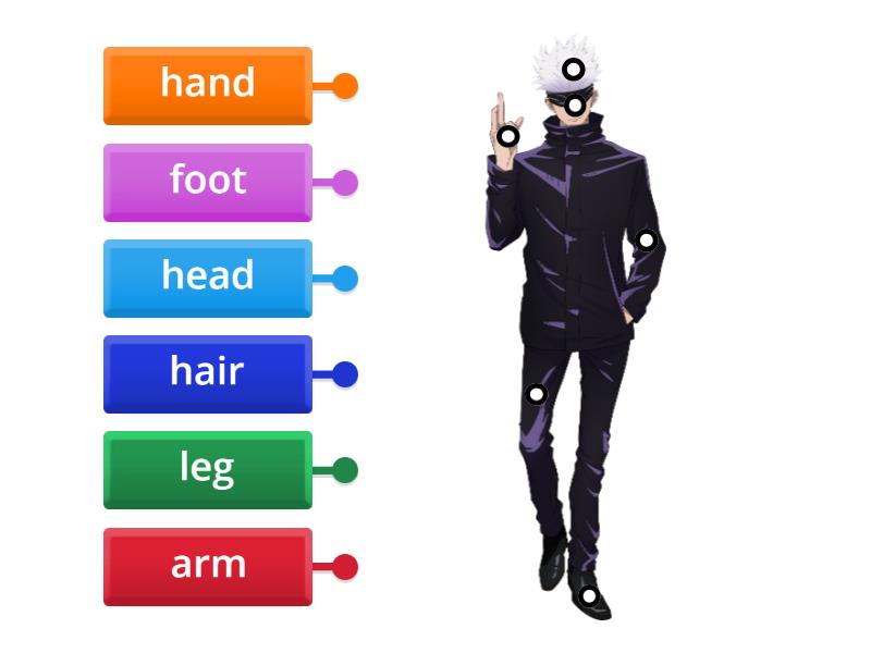 body parts gojo - Labelled diagram