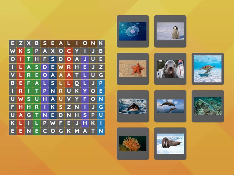 sea animals - Wordsearch
