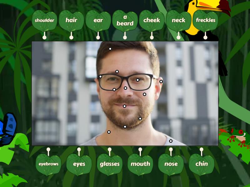 Face features - Labelled diagram