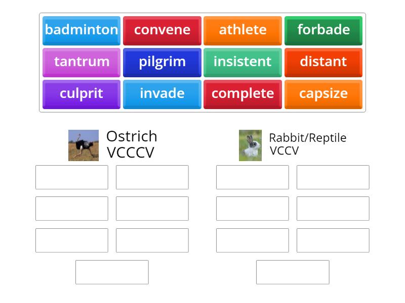 VCCV, VCCCV - Group sort