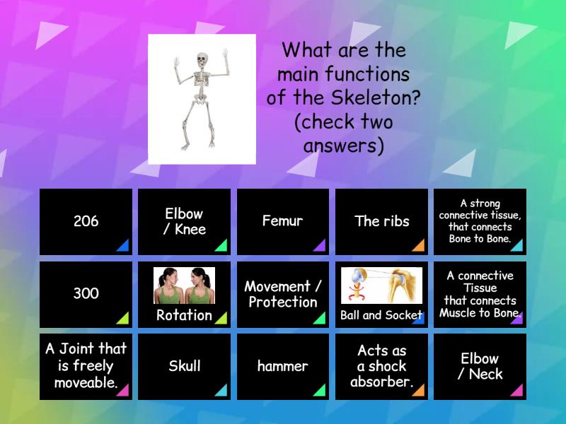 The skeleton game - Find the match