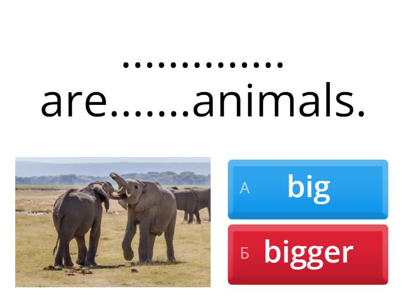 Spotlight 4 comparatives - Quiz