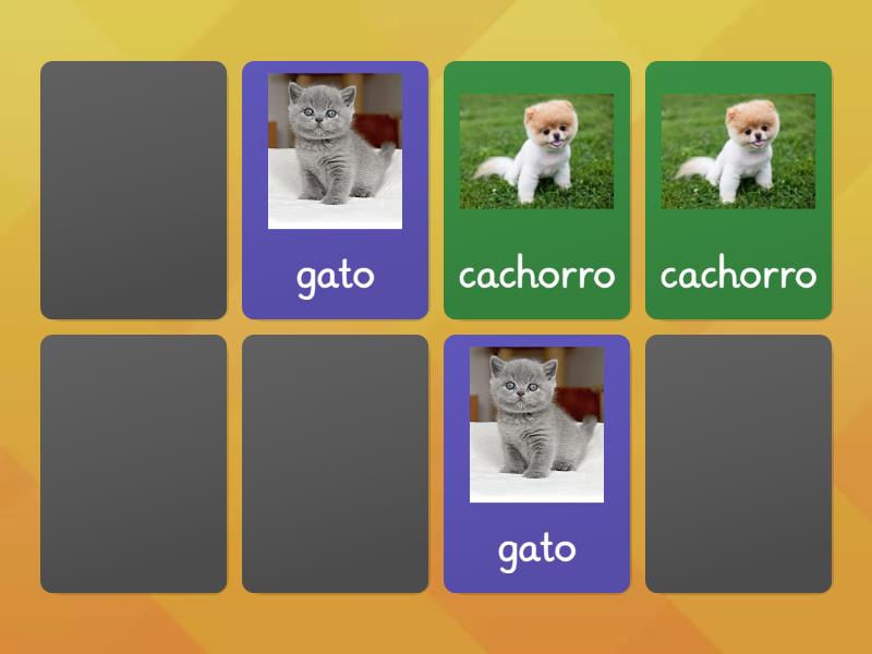 Encontrar o par - Matching pairs