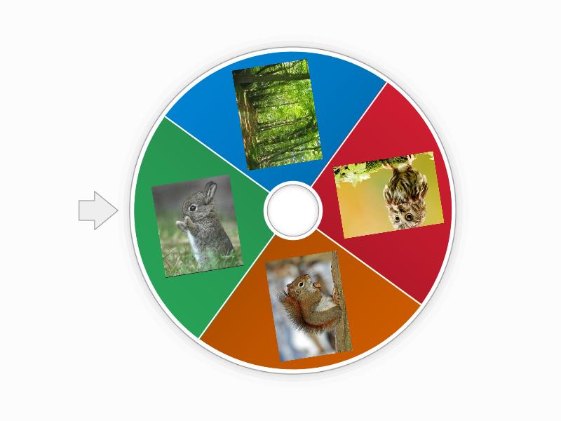 PRESENTACION ANIMALES BOSQUE - Random wheel