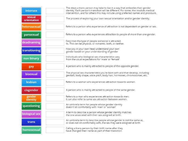 LGBTQ+ Terminology Matching Game - Match up