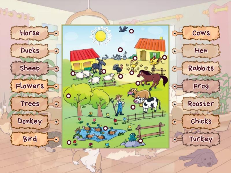 Farm animals - Labelled diagram