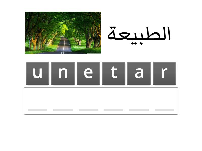 Elementary Pathways Unit 6 Reading 2 - Anagrama