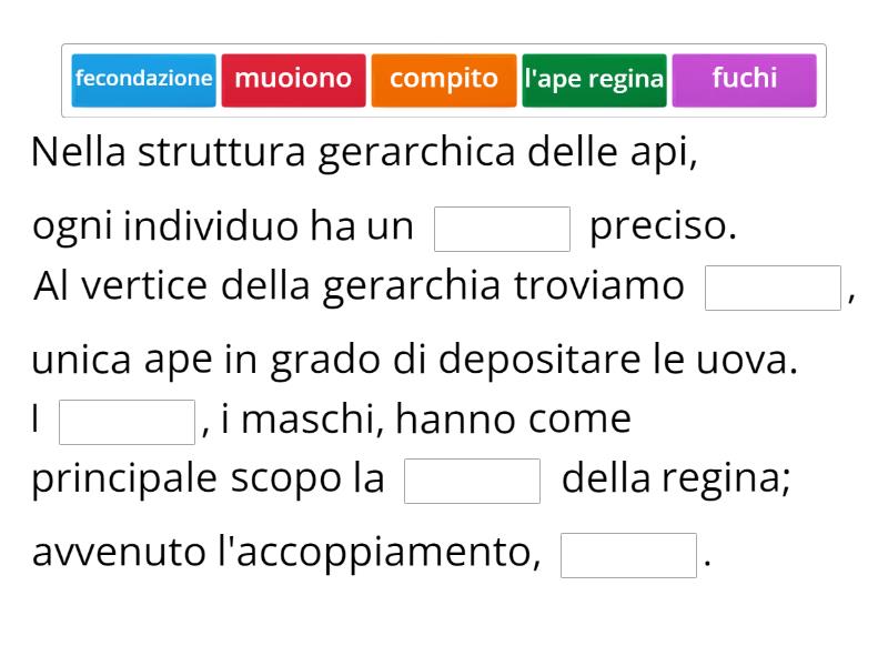 L'ORGANIZZAZIONE DELLE API (1) - Missing word