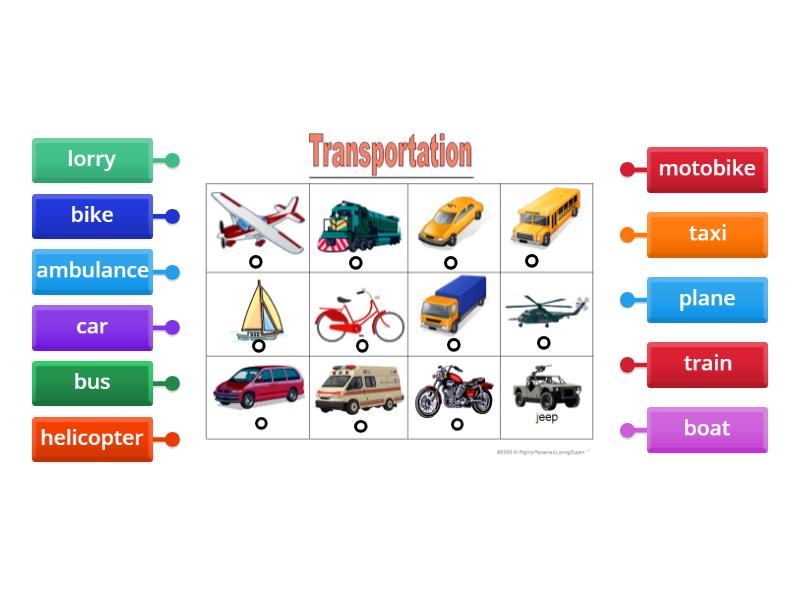 Transport - Labelled diagram