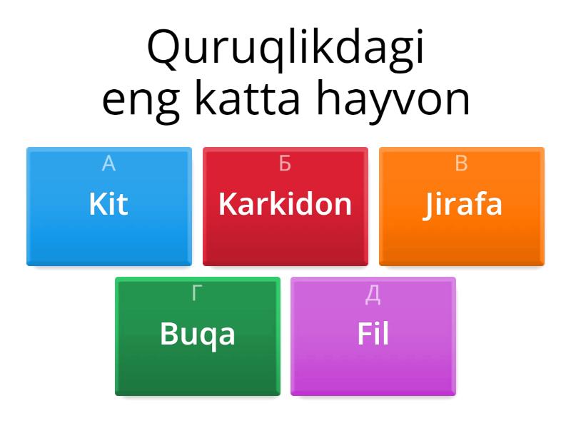 Sapayeva Intizor - Quiz