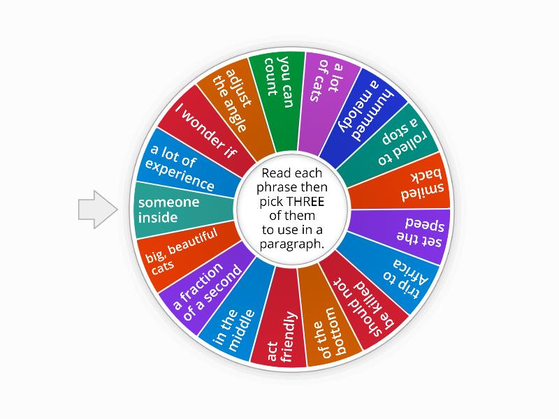 Increasing Fluency with High-Frequency Word Phrases, Lesson 3 - Spin the wheel