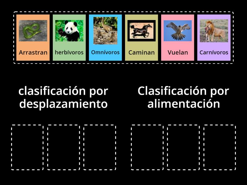 clasificacion de animales - Group sort