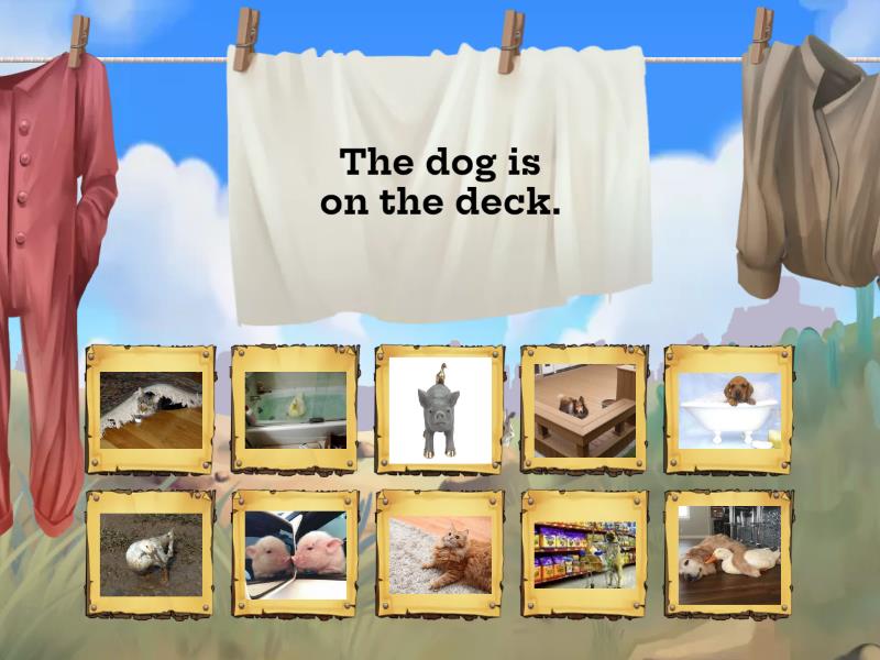 Simple Sentences: Dog, Cat & Pig - Find the match