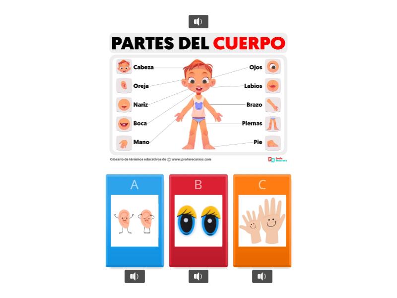 partes del cuerpo - Quiz