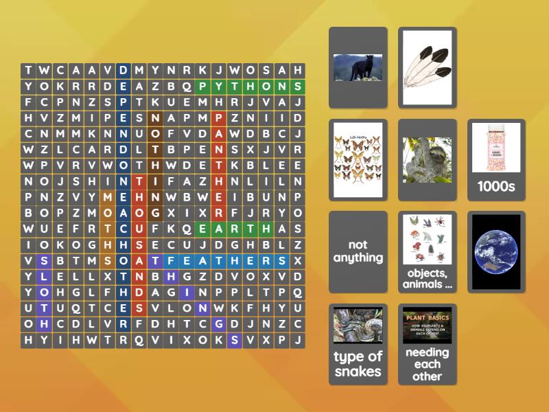 th words from: Lots Diversity of Life on Earth - Wordsearch