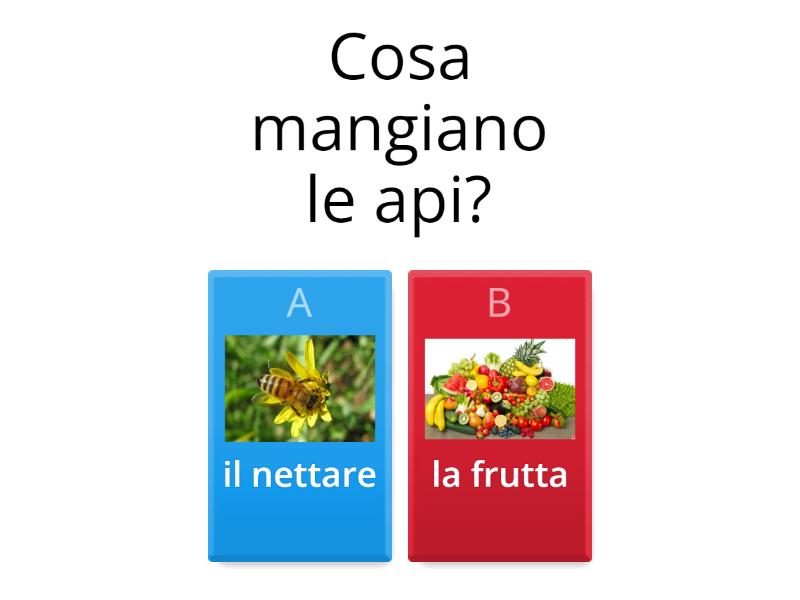 IL mondo delle api - Quiz