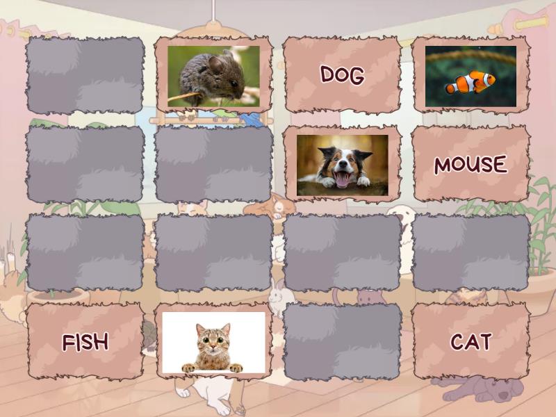 POPULAR PETS - Matching pairs