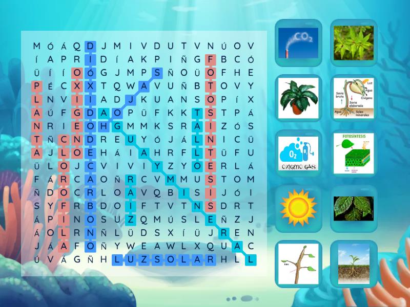 SOPA DE LETRAS FOTOSINTESIS - Wordsearch