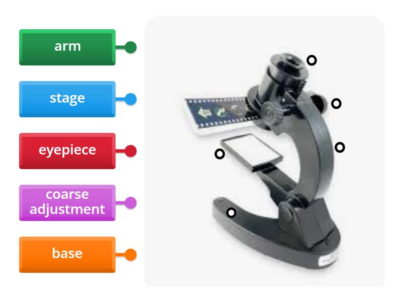Label Microslide Viewer - Labelled diagram