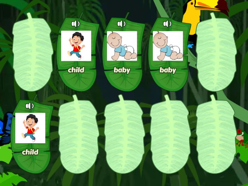 life stages of the human - Matching pairs