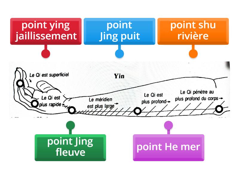 les points shu antique - Diagrama con etiquetas