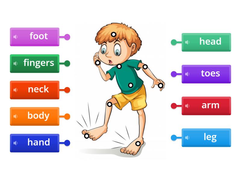Go Getter (1) 4.2 Parts of the body - Labelled diagram