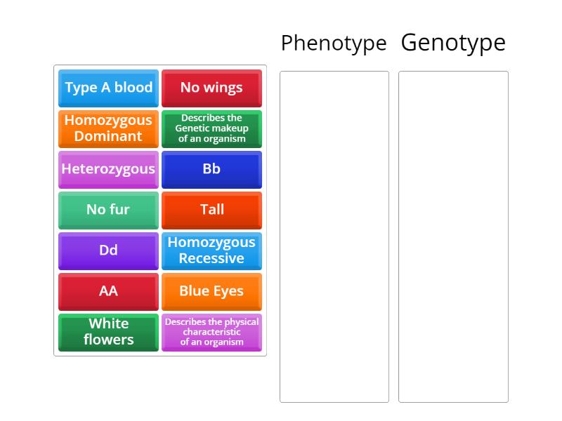 Genotype vs. Phenotype - Group sort