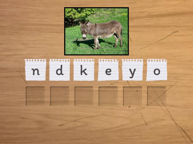 Animals - Anagram