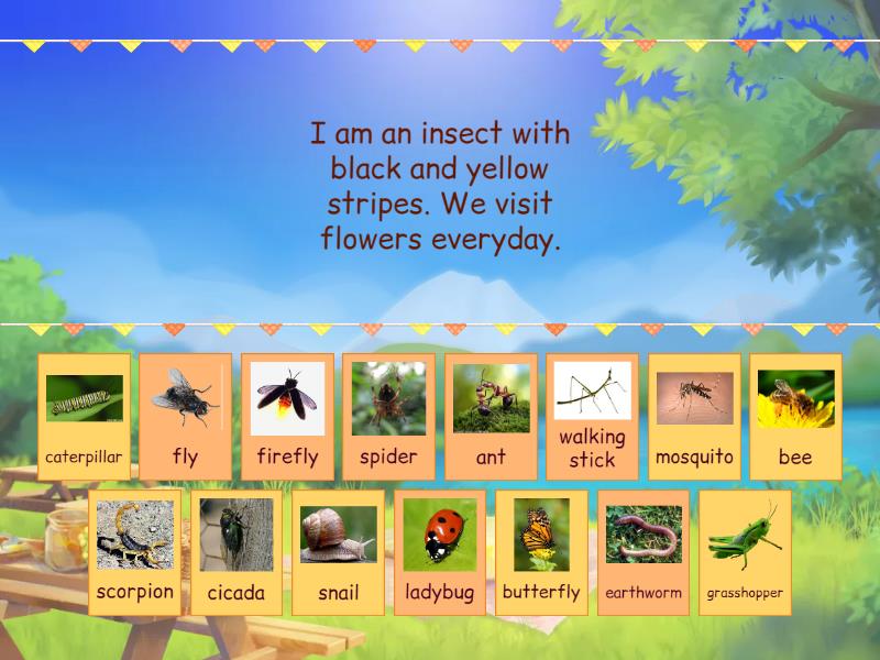 Small Creatures - Find the match
