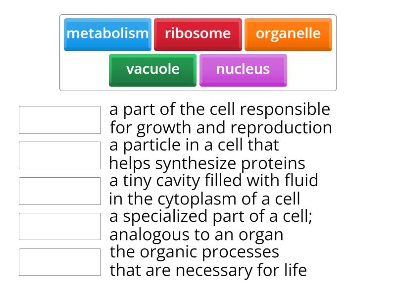 Define the below terms. - Match up