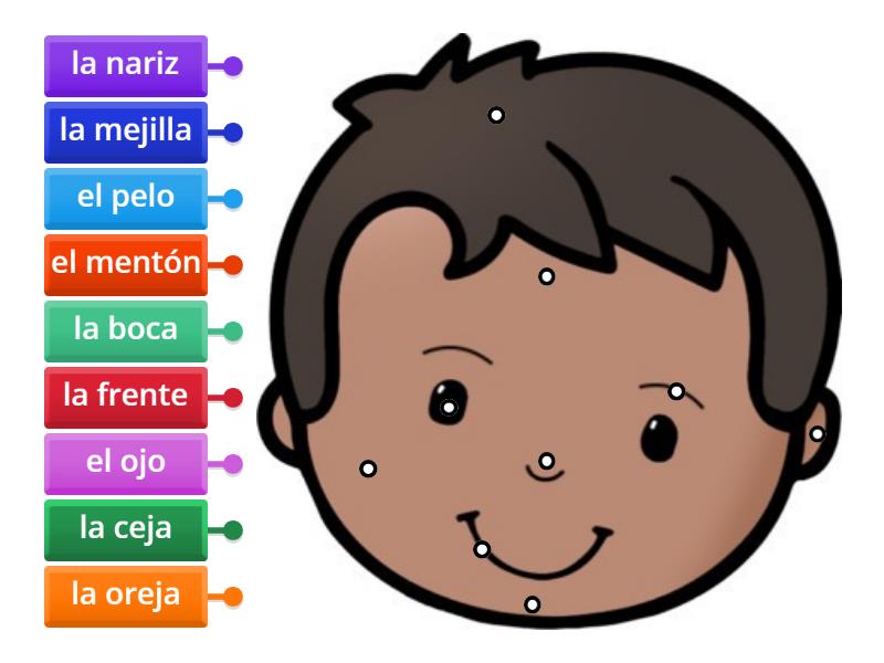 Parts of the Head/Face (Los partes de la cabeza/la cara) - Labelled diagram