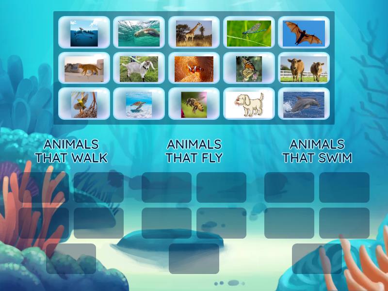 Categorizing and Sorting-English - Group sort