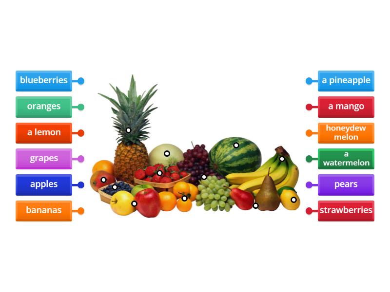 fruit - Labelled diagram