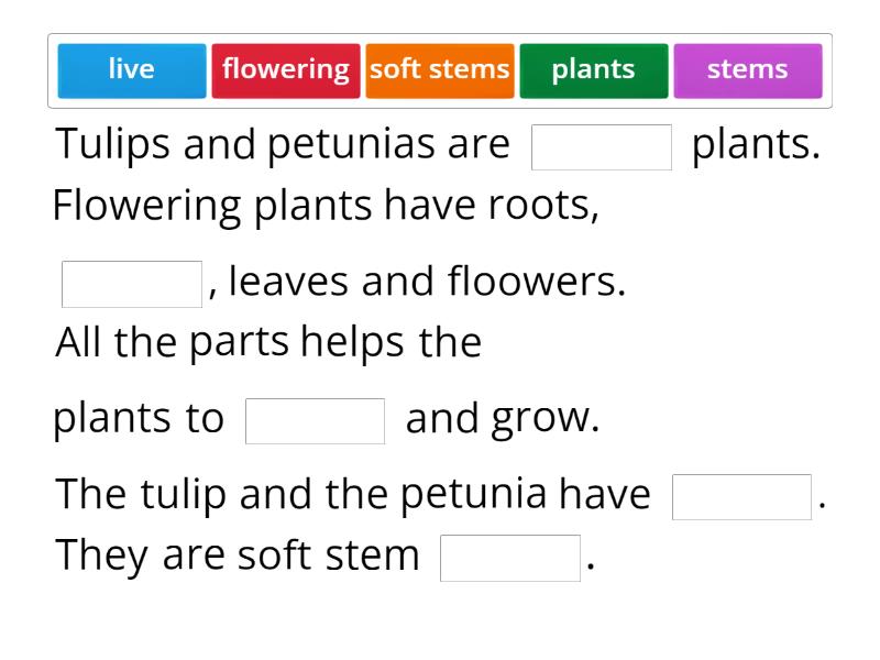 Plants/Plants with a Soft Stem/ Nature and Science for Children 3 - Missing word