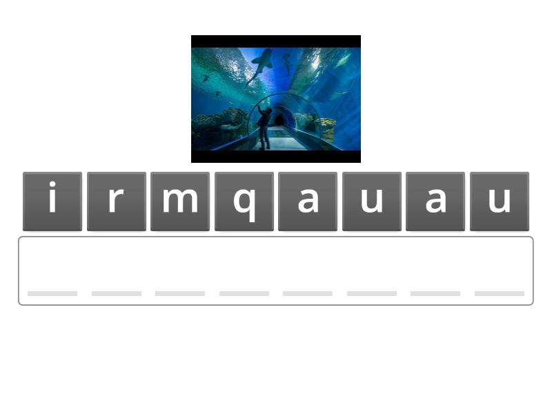 AS2 Unit 10 Vocabulary - Anagram