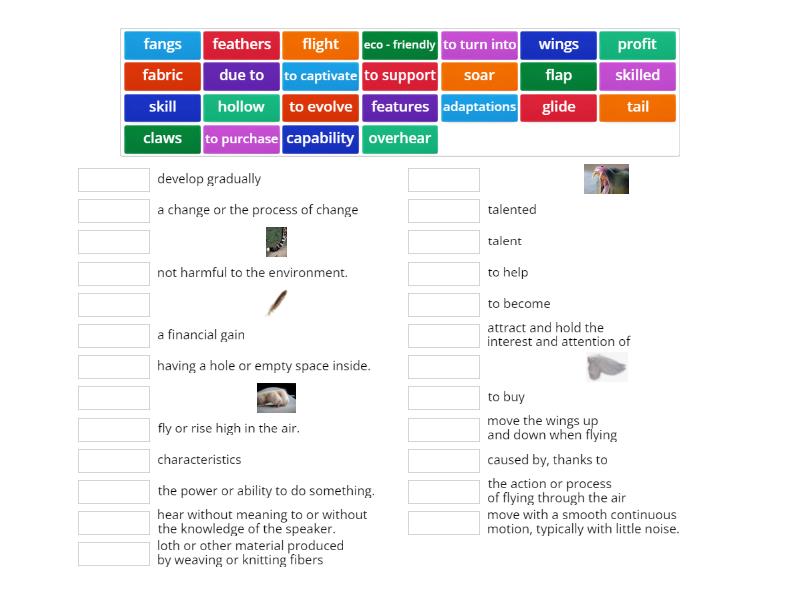 Fligh High - Unit 5 - Une las parejas