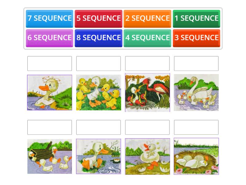 ORDER THE UGLY DUCKLING SEQUENCE - Match up