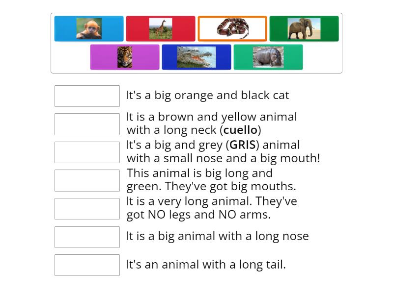 Kid's box 1 Unit 7 Wild animals - Match up