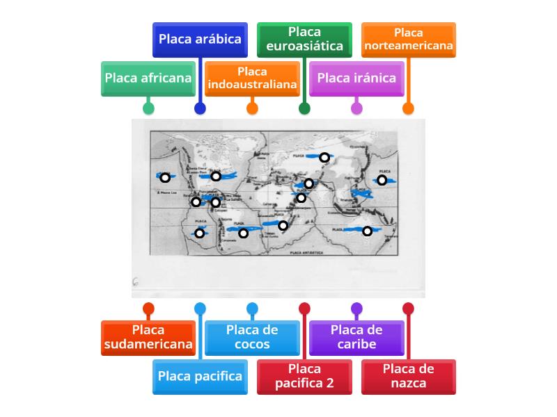 Placas - Labelled diagram
