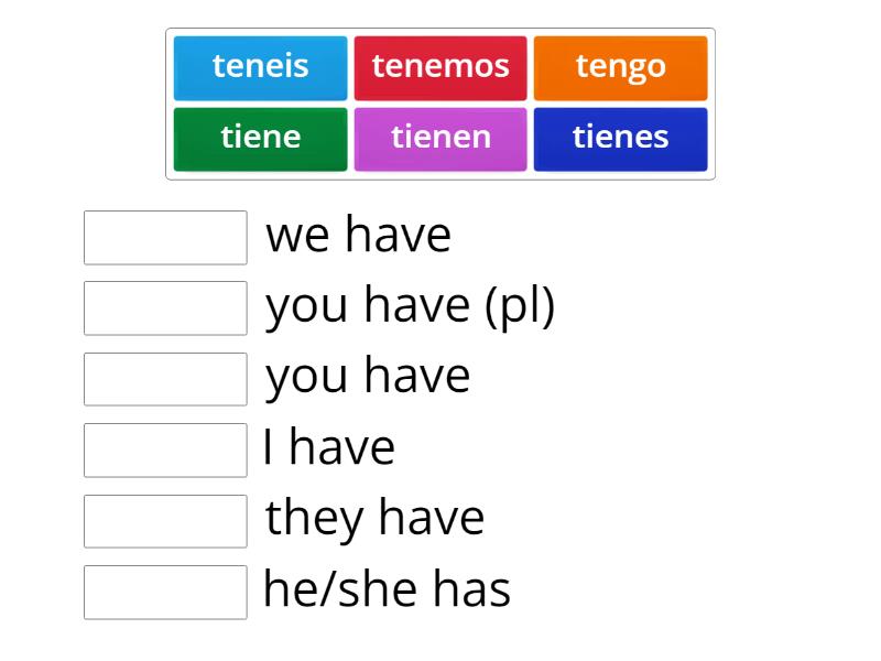 Tener - to have - Match up