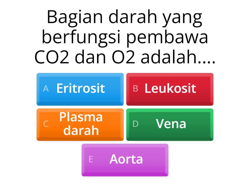 SIRKULASI DARAH - Quiz