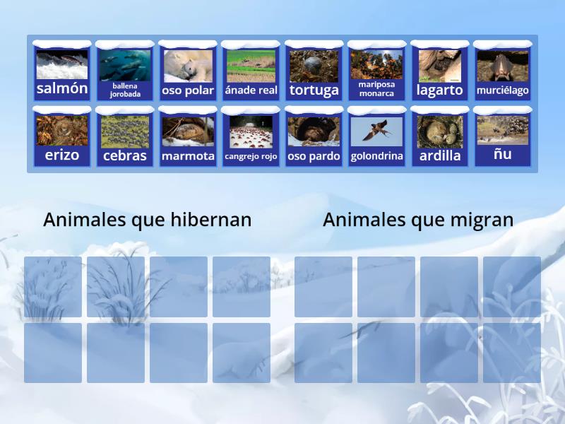 La hibernación y la migración de los animales - Ordenar por grupo