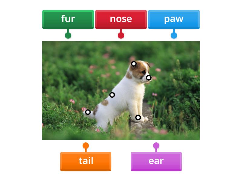 Hot Spot Label - Labelled diagram