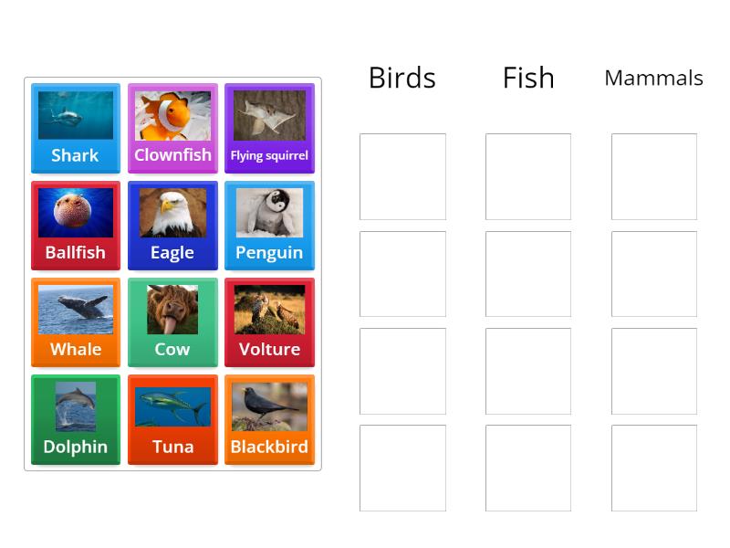 Birds vs Fish vs Mammals - Group sort