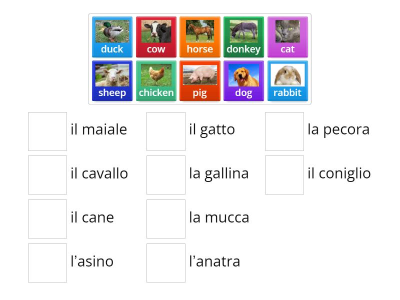 Gli animali della fattoria - Match up